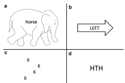 نرم افزار تست استروپ Stroop test