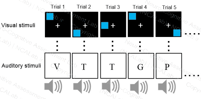 نرم افزار آزمون ان بک دوگانه (تطبیقی) Dual n-back (adaptive)
